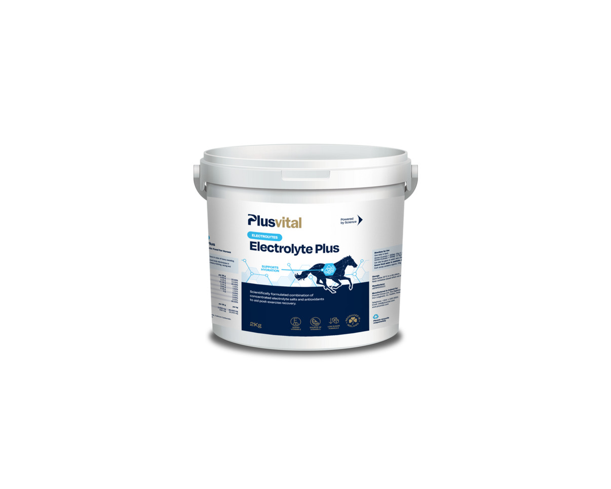 Electrolyte Plus Plusvital | Horsix