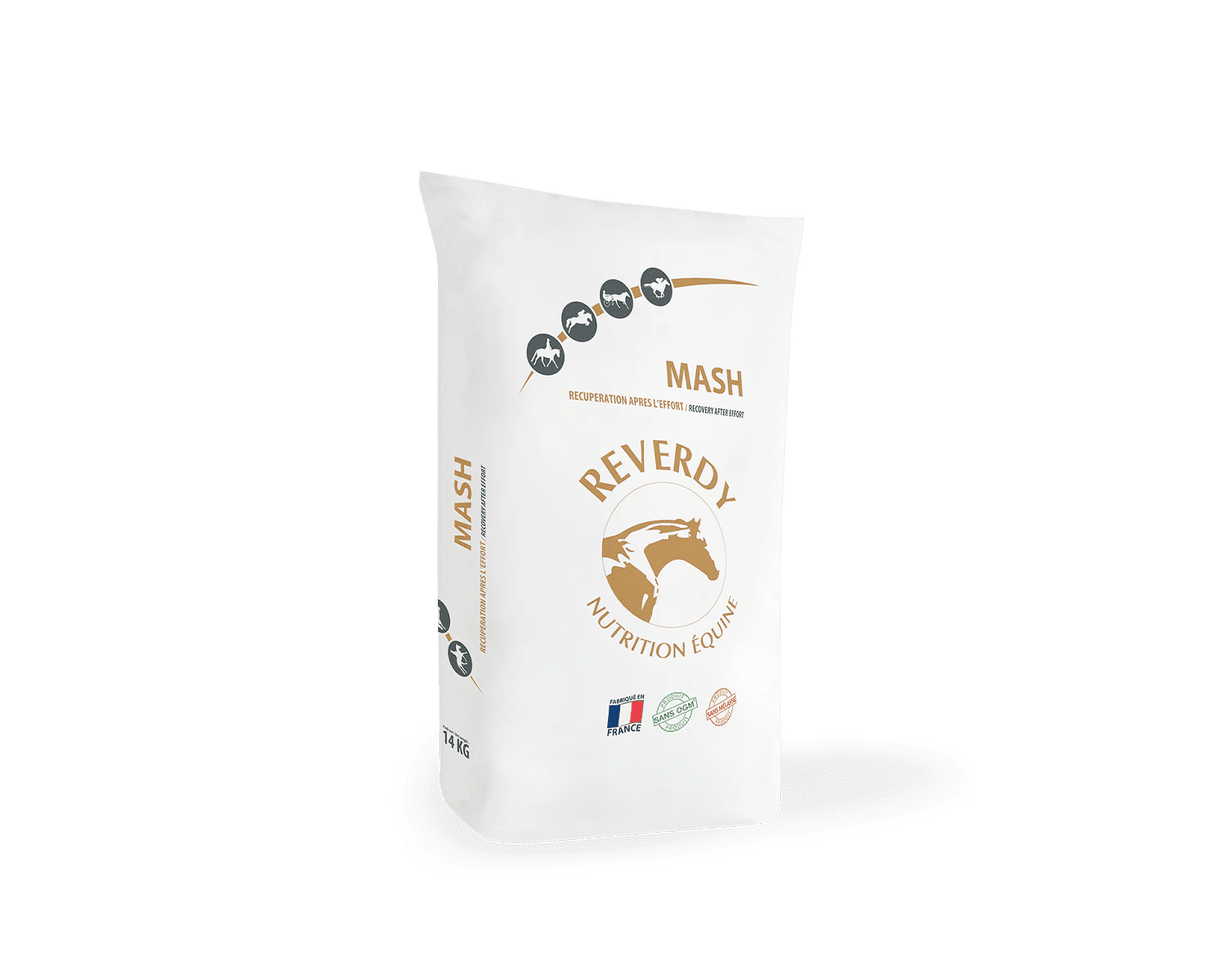 Mash Reverdy | Horsix