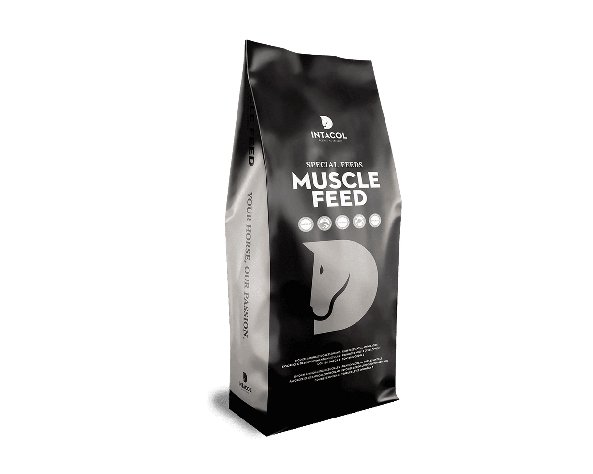 Muscle Feed Intacol | Horsix